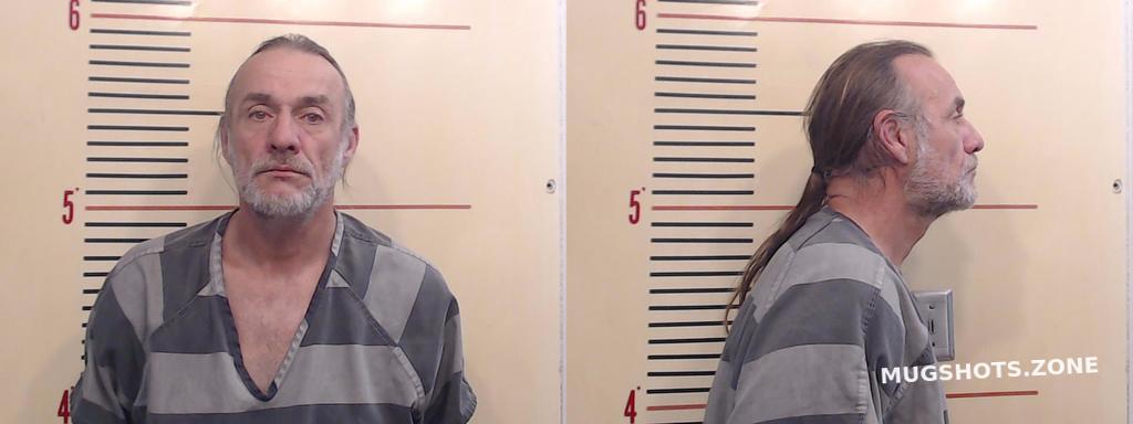 REIL HENRIC ANTHONY 02/16/2024 - Parker County Mugshots Zone