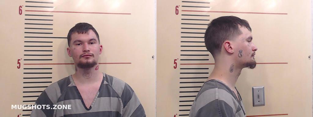 DAUL RYAN ALAN 02/20/2024 - Parker County Mugshots Zone