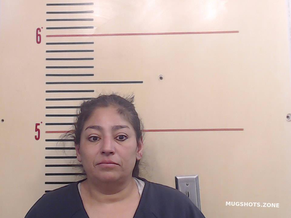 HERNANDEZ ROSA MARIE 02/28/2024 - Parker County Mugshots Zone