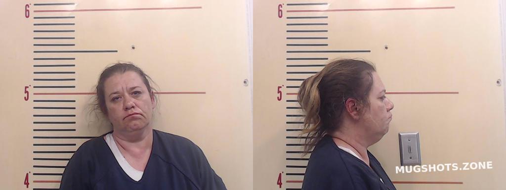 HANLIN BRANDY MICHELLE 03/02/2024 - Parker County Mugshots Zone