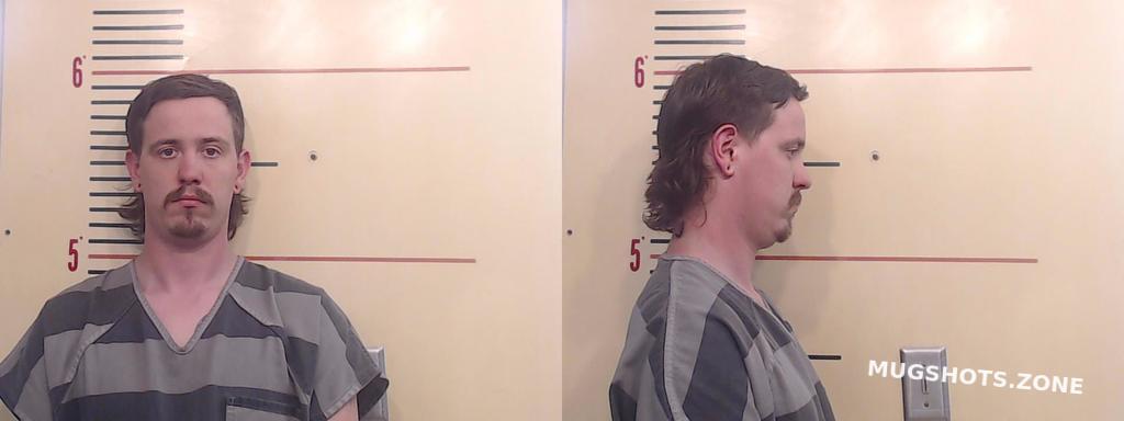 COLLINS ZACKARY RYAN 03/04/2024 - Parker County Mugshots Zone