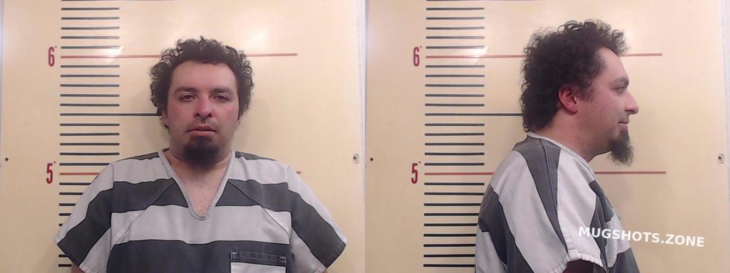 SMILEY JAMES FOSTER 03/21/2024 - Parker County Mugshots Zone