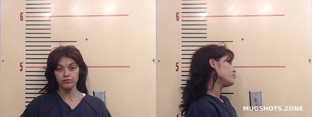 ARANDA AMBER KAY 03/30/2024 - Parker County Mugshots Zone