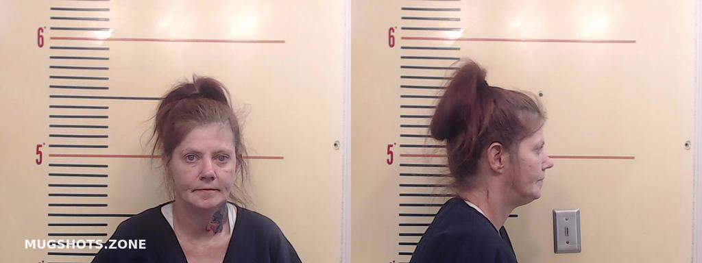 UMSTEAD ANGELA LEE 04/17/2024 - Parker County Mugshots Zone