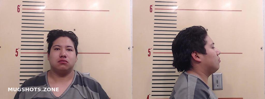 BASDEN SIMON LEE 04/21/2024 - Parker County Mugshots Zone