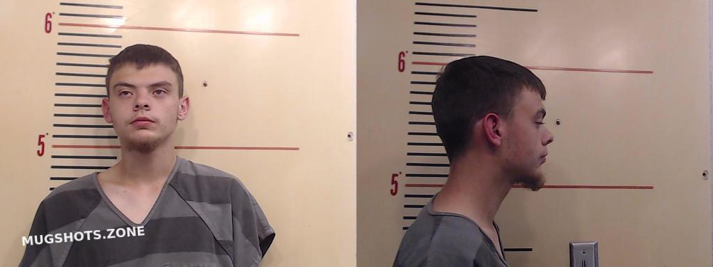 RUNYAN LUKE JAMES 04/23/2024 - Parker County Mugshots Zone