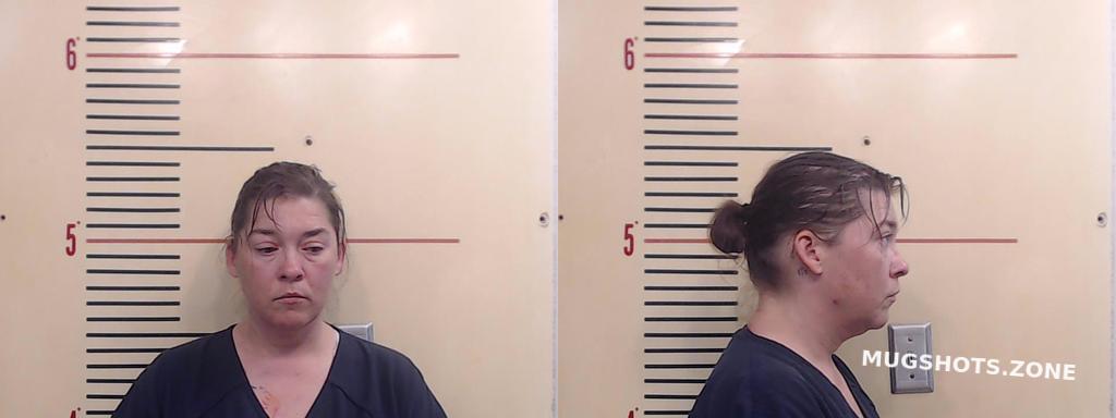 HAMPTON BRANDY MICHELLE 04/25/2024 - Parker County Mugshots Zone