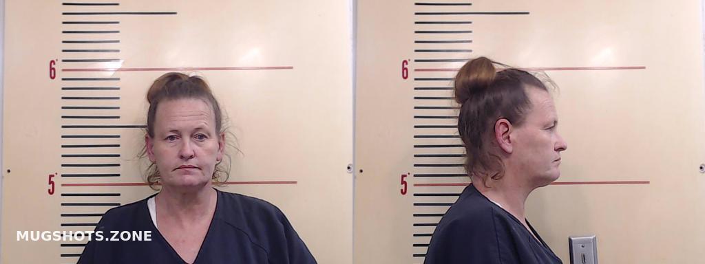 TAYLOR TANYA RENE 05/03/2024 - Parker County Mugshots Zone