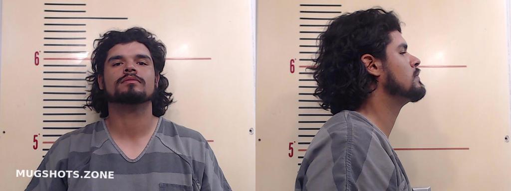 CASTRO ANTHONY ISAAH 05/04/2024 - Parker County Mugshots Zone