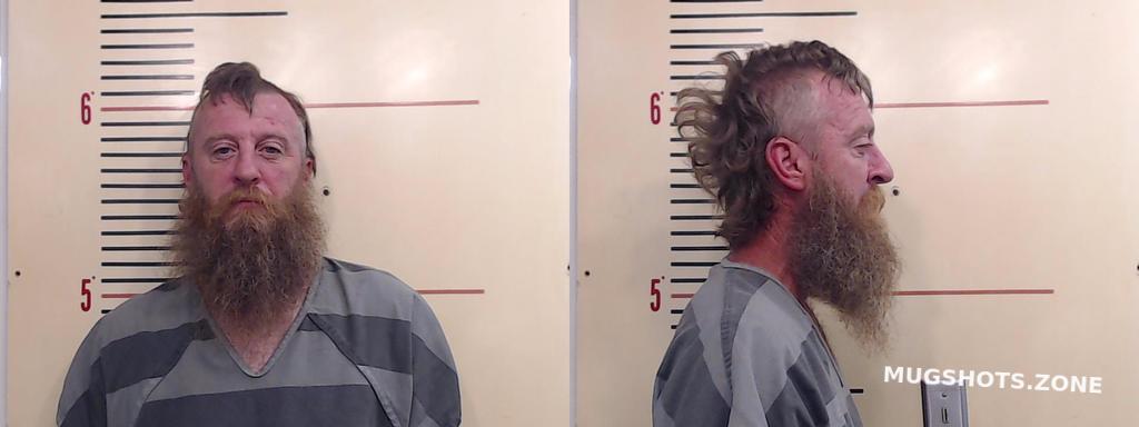 PLOWMAN JAMES DEAN 05/25/2024 - Parker County Mugshots Zone