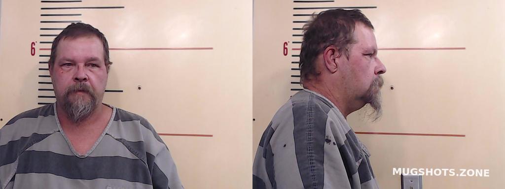 DAVIS JAMES ALLEN 06/04/2024 - Parker County Mugshots Zone