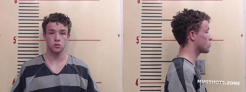 BAILEY TRISTEN MATLOCK 06/07/2024 - Parker County Mugshots Zone