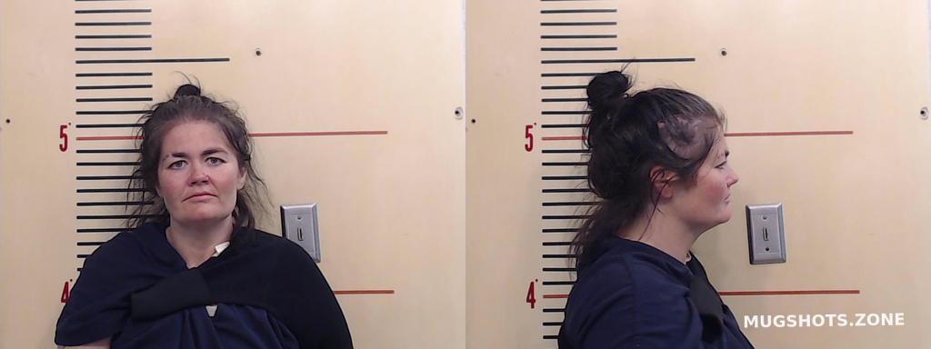 BURDETTE KELLI NICOLE 07/20/2024 - Parker County Mugshots Zone