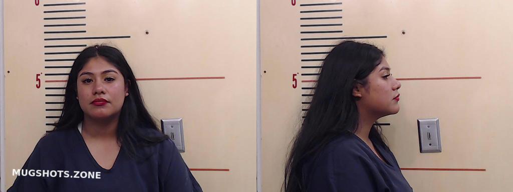 ELIZABETH RIVAS 07/21/2024 - Parker County Mugshots Zone