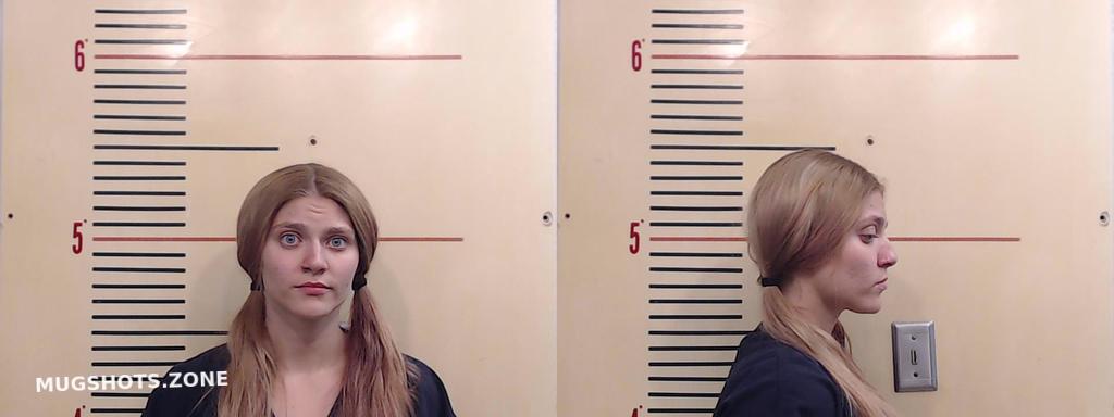 HEALY ALLYSON ELIZABETH 08/05/2024 - Parker County Mugshots Zone