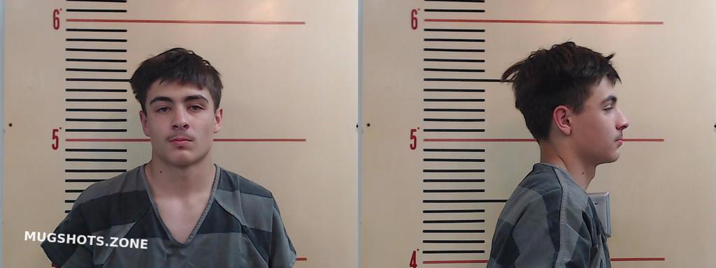 RIVAS VINCENT LEE JR. 08/30/2024 - Parker County Mugshots Zone