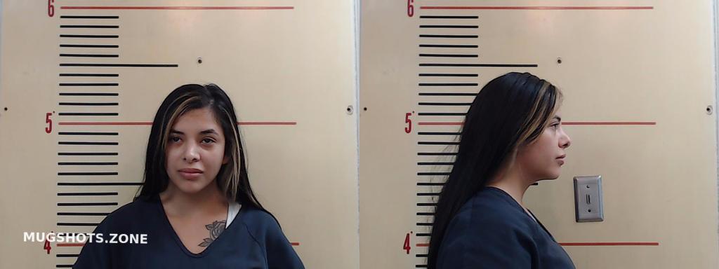 CASTILLO CEE-JAI MECEALA 09/30/2024 - Parker County Mugshots Zone