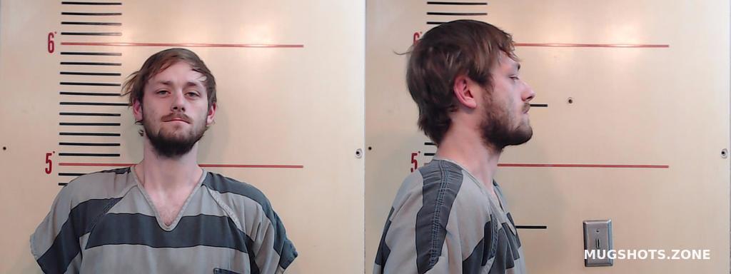 NEWMAN TANNER RYAN 10/21/2024 - Parker County Mugshots Zone