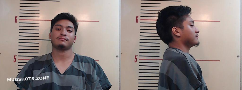 RICHART ALEJANDRO MANUEL 11/03/2024 - Parker County Mugshots Zone