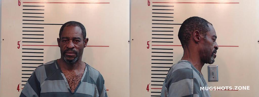 SNEED JAMES GERHARD 11/14/2024 - Parker County Mugshots Zone