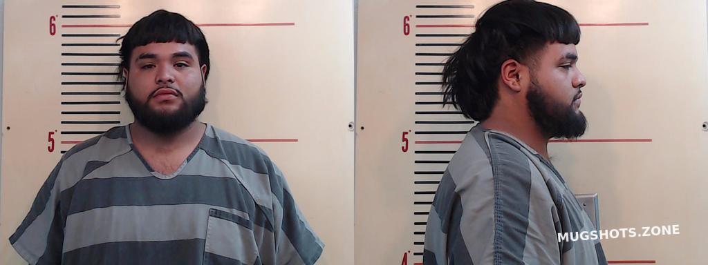 FRAYRE CESAR JR. 11/29/2024 - Parker County Mugshots Zone