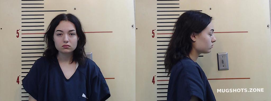 POEHLER HAILEY NICOLE 12/01/2024 - Parker County Mugshots Zone