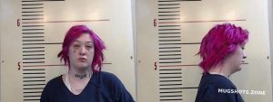 WILLIAMS TORI LANAE 12/02/2024 - Parker County Mugshots Zone