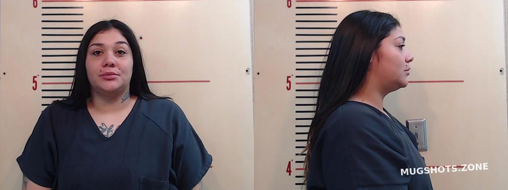 BUSTOS DIANA AMANDA 12/11/2024 - Parker County Mugshots Zone