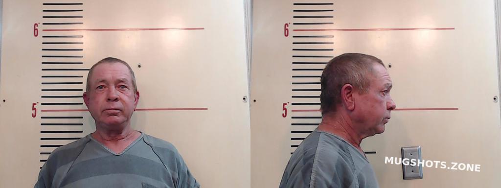 HUDSON MICHAEL GENE 12/21/2024 - Parker County Mugshots Zone