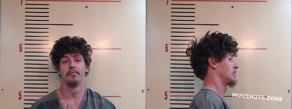 GOODWIN TRAVIS TYLER 12/29/2024 - Parker County Mugshots Zone