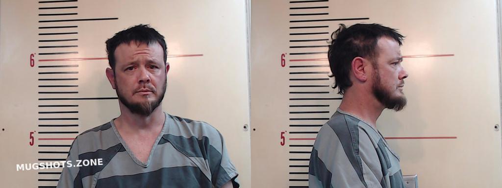 RENEAU JOSH AARON 01/14/2025 - Parker County Mugshots Zone