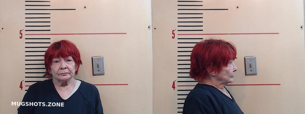 HARBISON LINDA RICHARDSON 01/27/2025 - Parker County Mugshots Zone