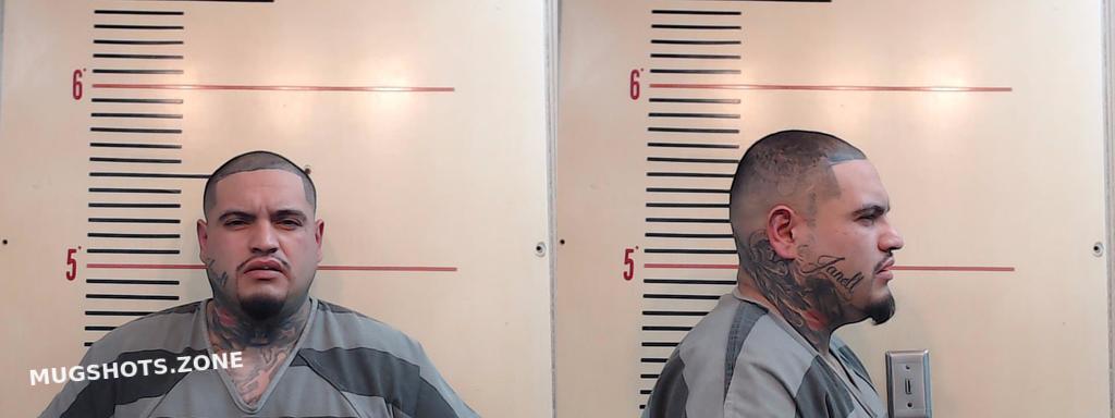 RODRIGUEZ MICHAEL ANGELO 01/31/2025 - Parker County Mugshots Zone