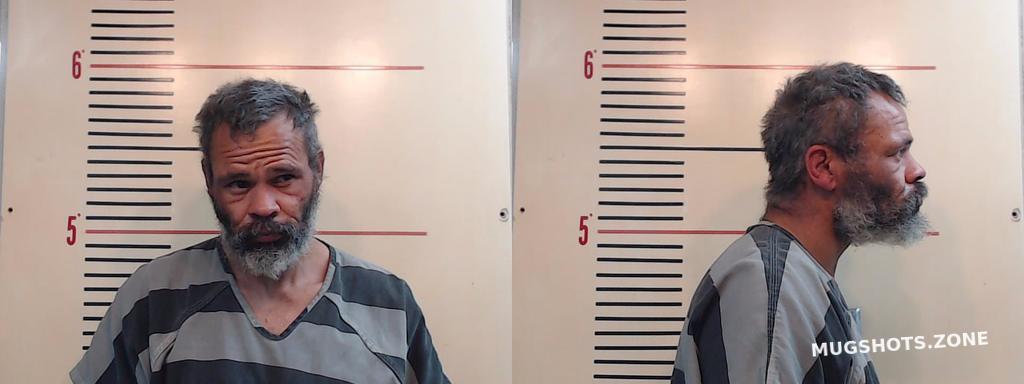 HUFFER RICHARD ALLAN 01/31/2025 - Parker County Mugshots Zone
