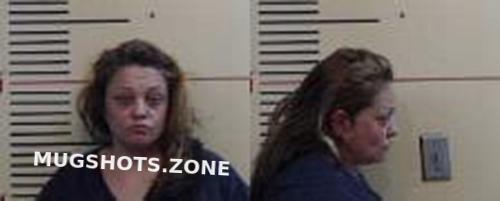 COOK JACKLYN KATHLEEN 02/13/2025 - Parker County Mugshots Zone