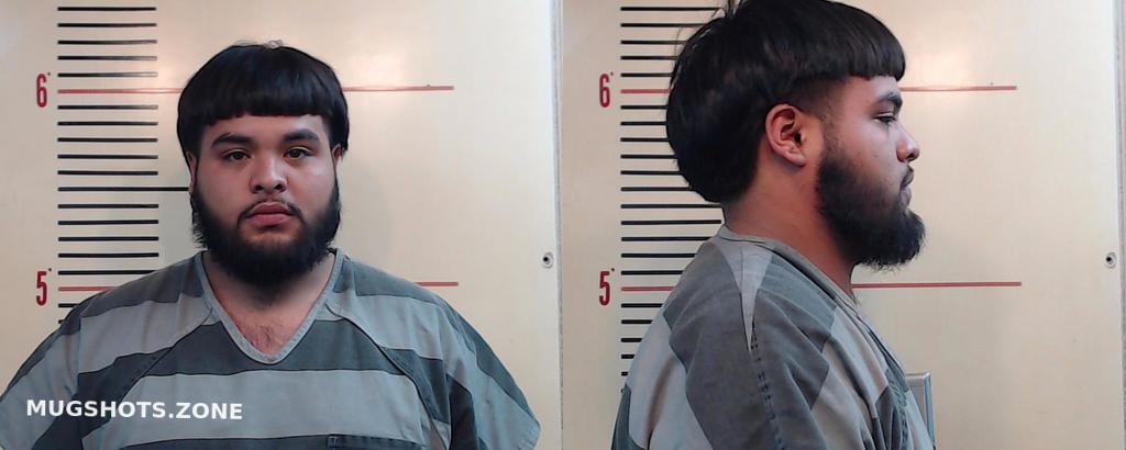 FRAYRE CESAR JR. 02/15/2025 - Parker County Mugshots Zone