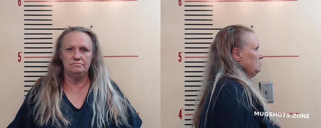 SNOW RHONDA CONNOR 02/18/2025 - Parker County Mugshots Zone