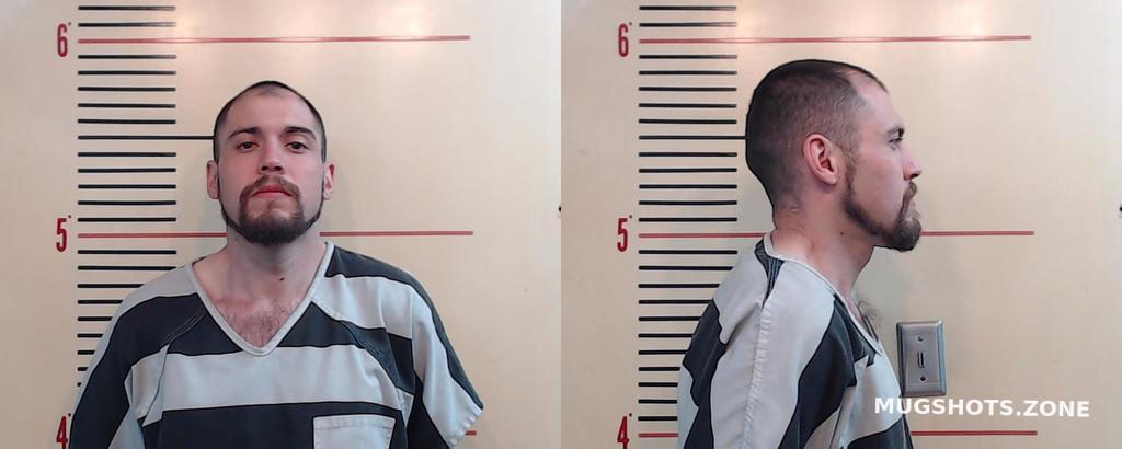 GUZMAN CHRISTOPHER MICHEAL 02/19/2025 - Parker County Mugshots Zone