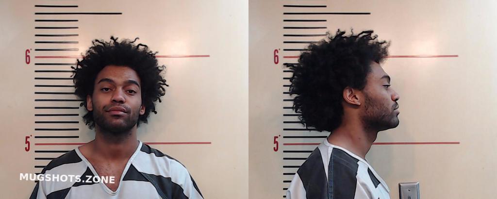 REEDER-KNOTTS COLBY QUINN 02/19/2025 - Parker County Mugshots Zone