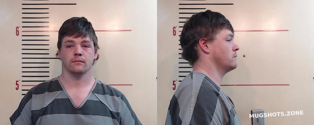 HESS KOLE LEE 02/19/2025 - Parker County Mugshots Zone
