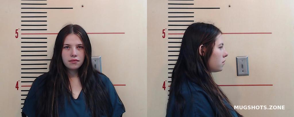 WILLIAMS MINA LANAE 02/21/2025 - Parker County Mugshots Zone