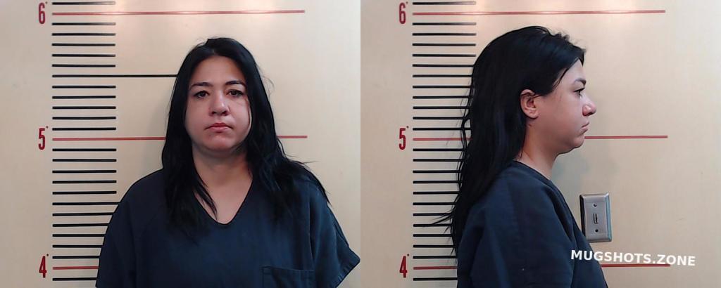 CHINN SHANNON NICOLE 03/01/2025 - Parker County Mugshots Zone