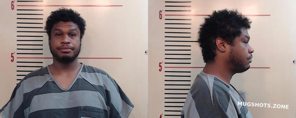 BROWN SEDRIC ALLEN 03/12/2025 - Parker County Mugshots Zone