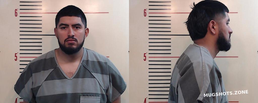 LEDESMA RENE 03/21/2025 - Parker County Mugshots Zone