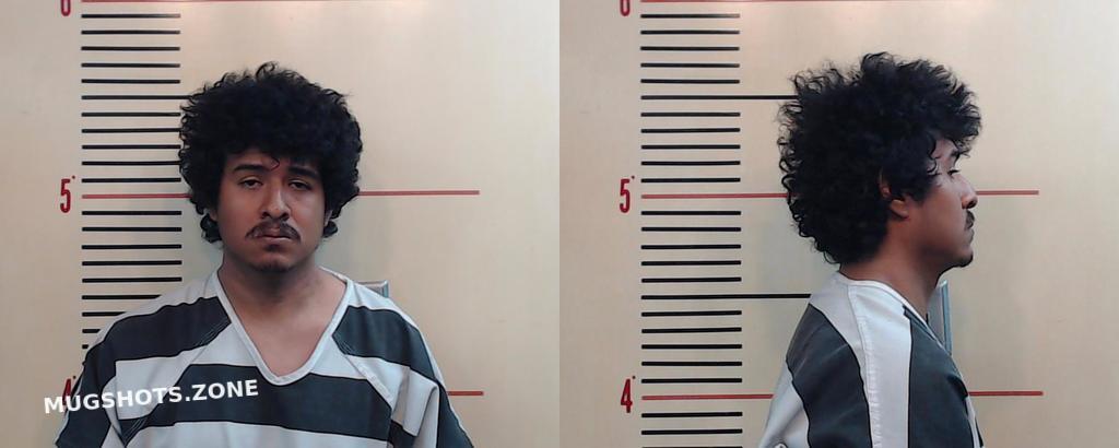 CRUZ-GUZMAN ANTHONY 03/26/2025 - Parker County Mugshots Zone