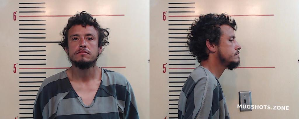 CLARK NICHOLAS EDWARD 03/28/2025 - Parker County Mugshots Zone