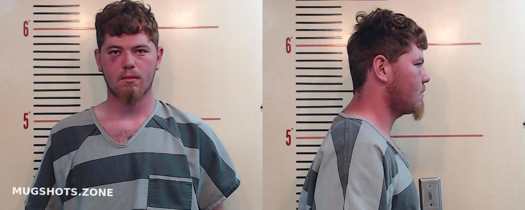 CHERRY CARSON LUKE 03/29/2025 - Parker County Mugshots Zone