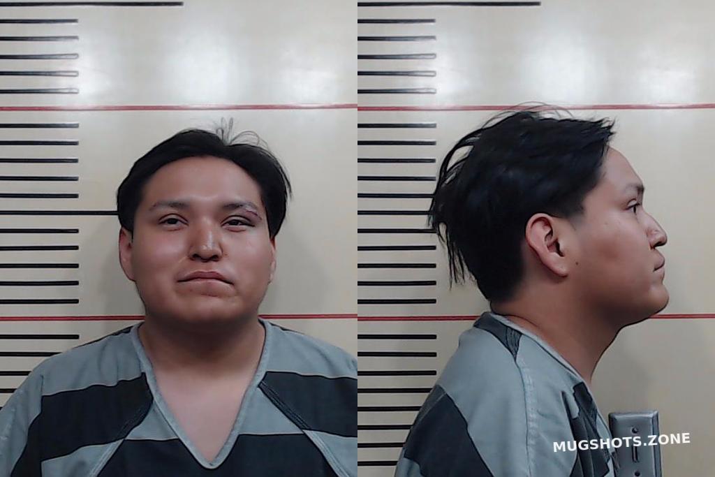 JOHNSON TYLON KESHON 04/28/2025 - Parker County Mugshots Zone