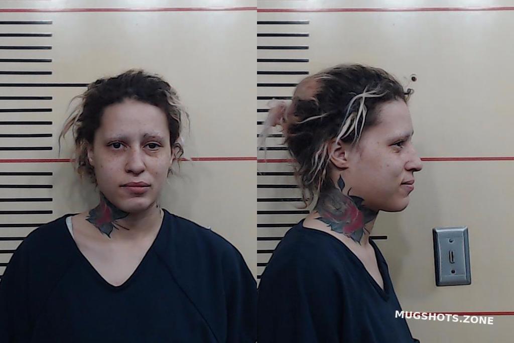 NEWBY ELIZABETH NICOLE 04/28/2025 - Parker County Mugshots Zone