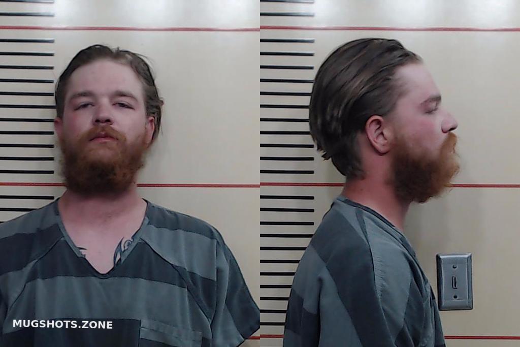 DAVIDSON JONATHAN MCKINLEY 05/31/2025 - Parker County Mugshots Zone